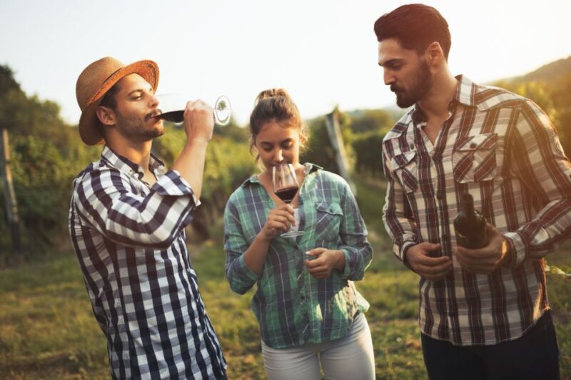 Montserrat Wine Tasting Tour from Barcelona Day Trip by Car - Authentic Experiences and Expert Guidance
