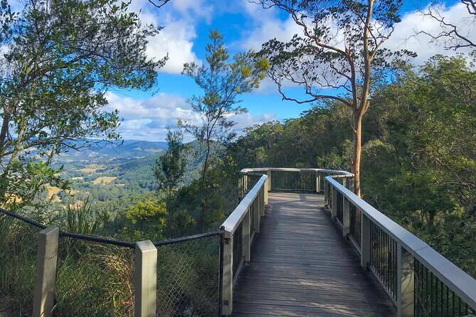 Montville, Maleny and Sunshine Coast Hinterland Tour with Lunch - Final Thoughts