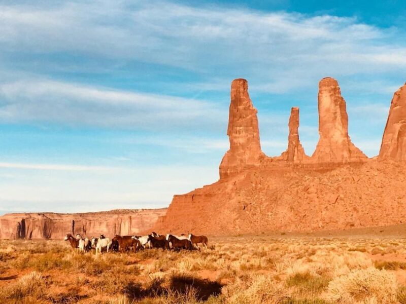 Monument Valley: 3-Hour Sunrise Tour with Navajo Guide - Logistics and Practicalities