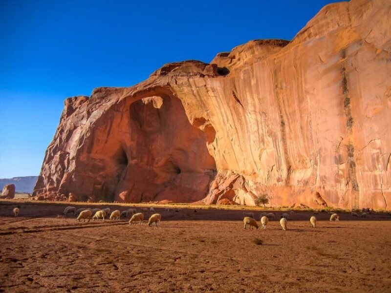 Monument Valley 4x4 Navajo Guided Tour - Introduction: A Guided Journey into Monument Valley