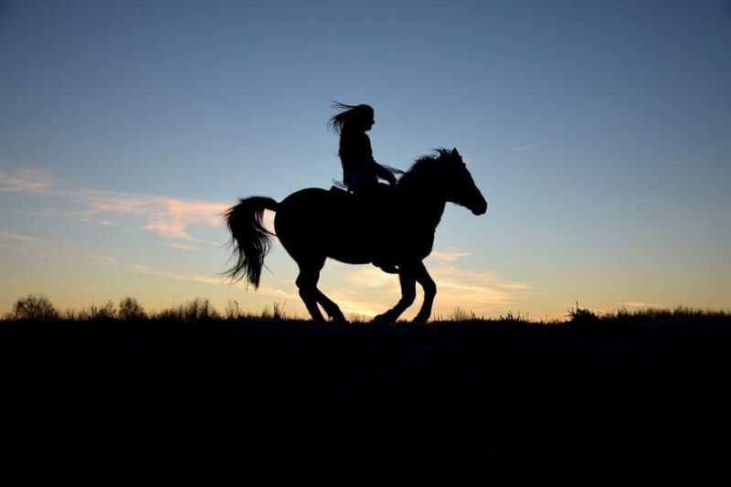 Monument Valley: Horseback Adventure Tour - Who Should Consider This Tour?