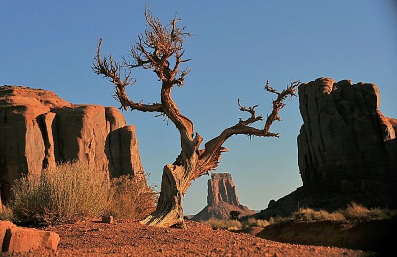 Monument Valley: Scenic 1.5-Hour Tour - What’s Included and What’s Not
