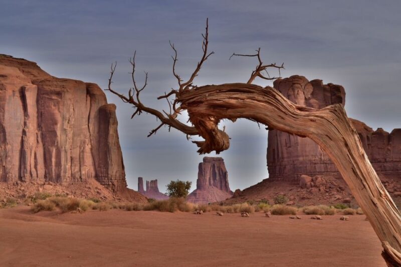 Monument Valley: Scenic 1.5-Hour Tour - Who Should Take This Tour?