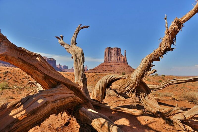 Monument Valley: Scenic 2.5-Hour Guided Tour - The Personal Touch in Reviews