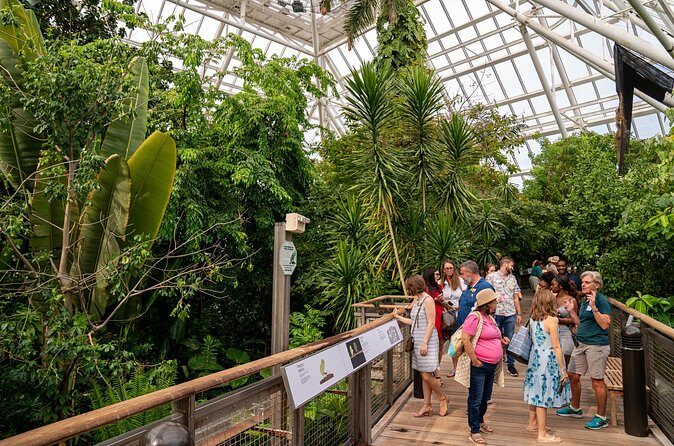 Moody Gardens General Admission - Aquarium & Rainforest - An In-Depth Look at the Moody Gardens Experience