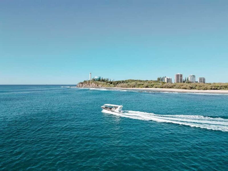 Mooloolaba: 2-Hour Whale Watching Adventure - Frequently Asked Questions