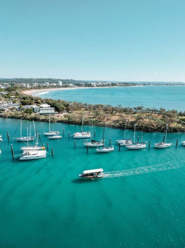 Mooloolaba: Adventure Rafting Turtle Tour - Key Points