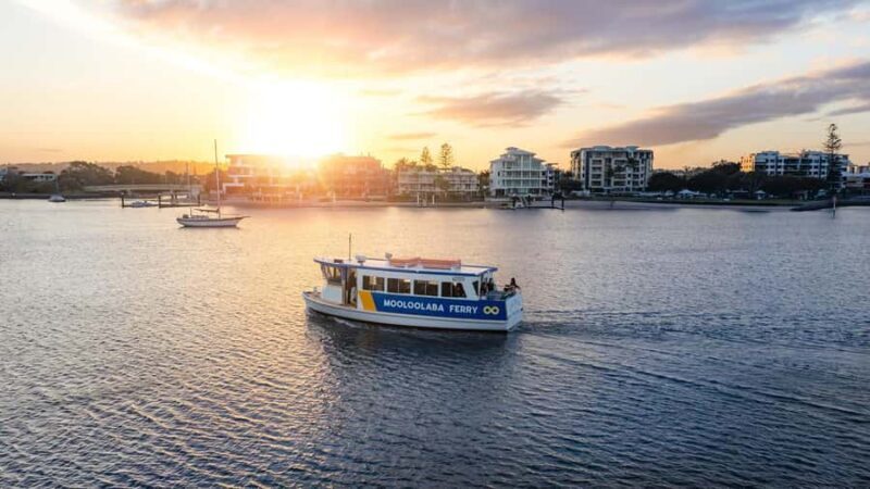 Mooloolaba: Hop-On Hop-Off Ferry Return Ticket - Who Will Love This Experience?