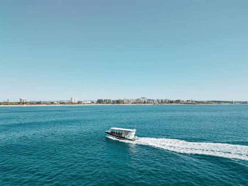 Mooloolaba: Whale Watching Cruise - Who Is This Tour Best For?