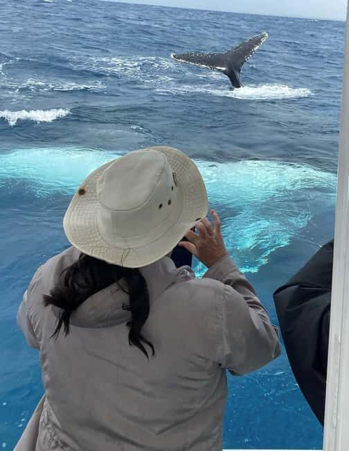 Mooloolaba: Whale Watching Cruise - Frequently Asked Questions