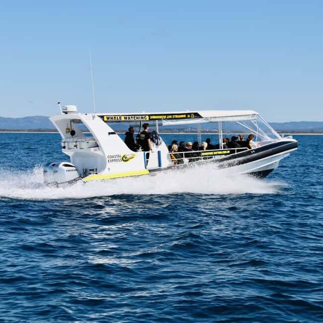 Mooloolaba: Whale Watching Cruise - Final Thoughts