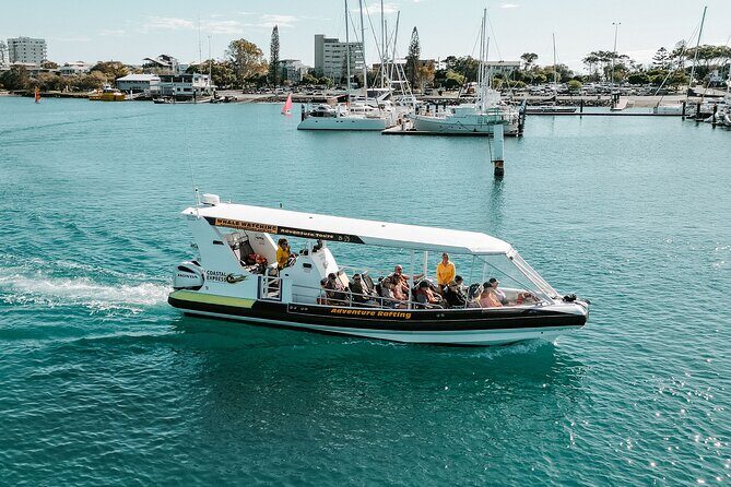 Mooloolaba Whale Watching Small Group Tour - The Sum Up: Who Is This Tour Best For?