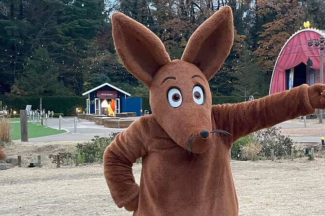 Moomin Valley Park and Kirari Spa Villa Combo near Tokyo - Who Would Enjoy This Tour?