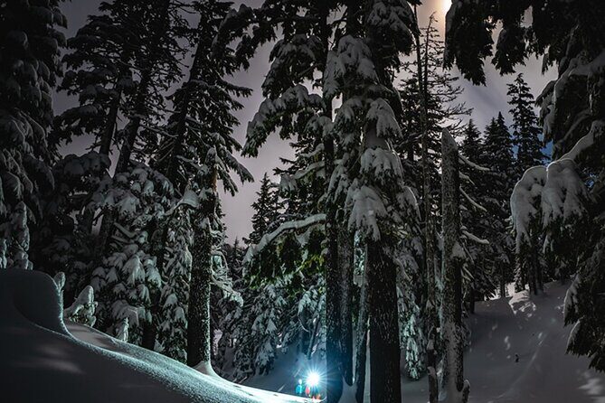 Moonlight Snowshoe Hike - The Sum Up