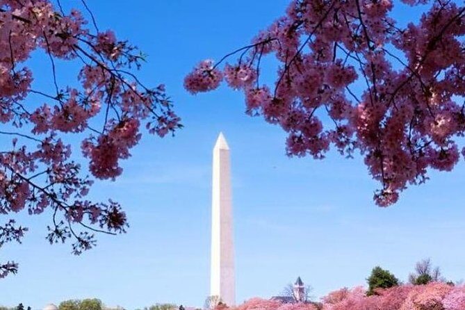 Moonlight Tour 3 Hour - An In-Depth Look at the Tour Experience