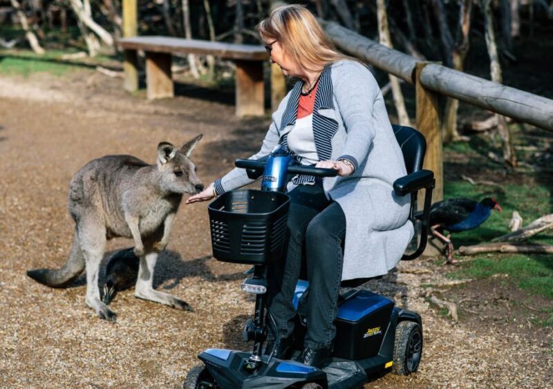 Moonlit Sanctuary Conservation Park Entry Ticket - FAQ