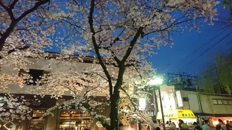 Moonlit Whispers of Kyoto:A Guided Romantic Night Walk Tour - Key Points