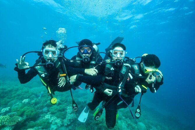 Moore Reef Day Tour with Dive from Cairns - An In-Depth Look at the Moore Reef Tour