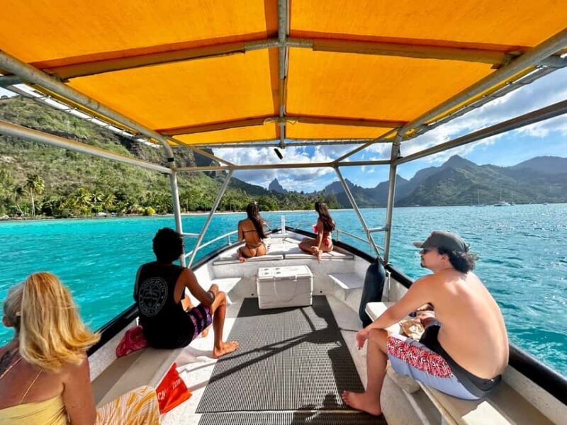 Moorea 4H Shared Boat Tour Whale Swimming and Snorkeling - An In-Depth Look at the Moorea 4H Shared Boat Tour