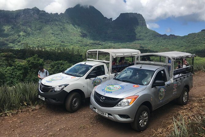 Moorea 4WD Tour Inc. Belvedere, Pineapple Farm, Magic Mountain... - Key Points