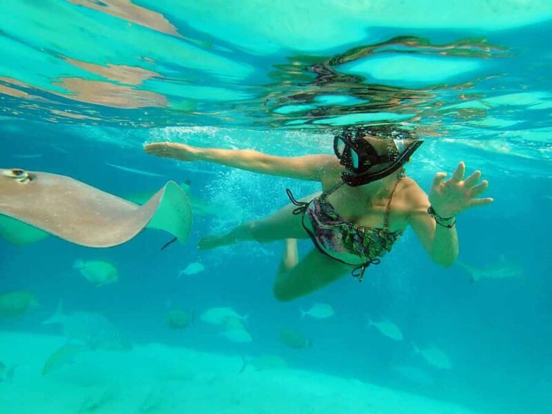 MOOREA 6H PRIVATE BOAT TOURS SNORKELING & LUNCH - An In-Depth Look at Moorea’s 6-Hour Private Boat Tour