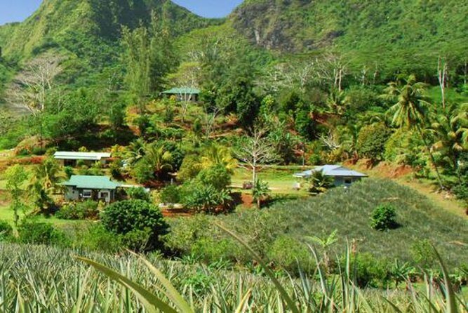 Moorea Aito 4WD Safari Tour - Half day - Magical Mountain — A Breathtaking Perspective