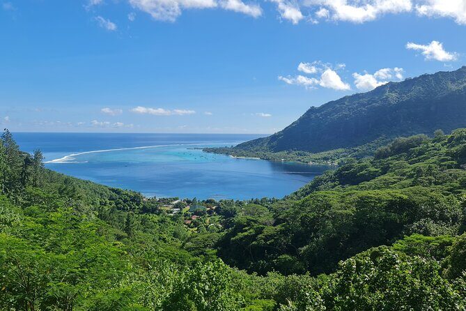 Moorea Aito 4WD Safari Tour - Half day - Practicalities and Value