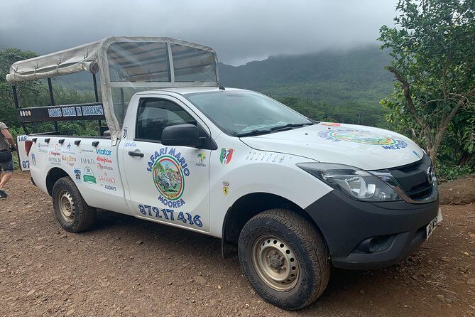 Moorea Cruise Ships: 4x4, Belvedere, Pineapple, & Magic Mountain - Exploring Moorea by 4x4: An Authentic Island Experience