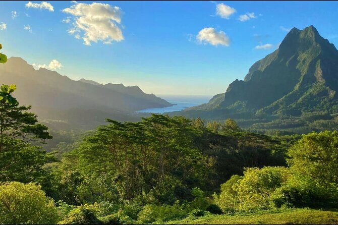 Moorea Cruise Ships: 4x4, Belvedere,Magic Mountain pineaple - The Itinerary Breakdown