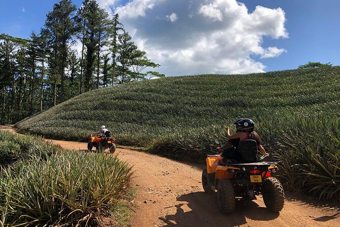 Moorea Explorer Atv Quad Tour - The Authentic Touch: Guided by Local Experts
