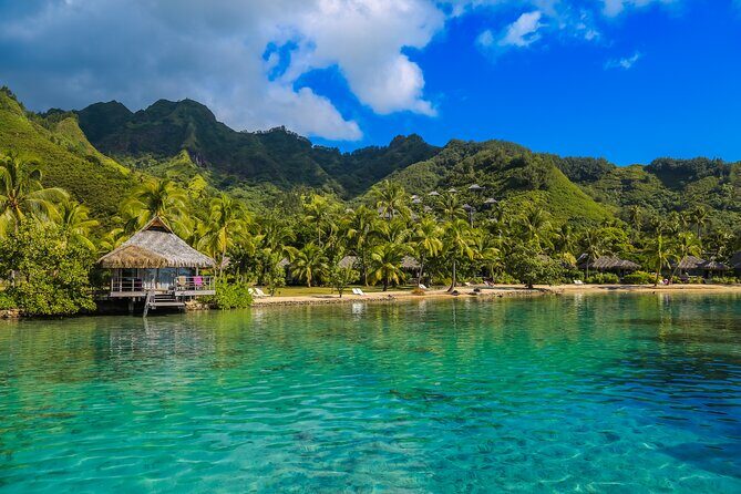 Moorea Full-Day Hiking Experience  Private Shore Tour - Exploring the Moorea Full-Day Hiking Experience: A Real Adventure for Curious Travelers
