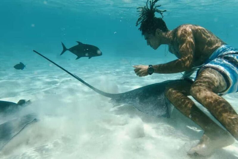 Moorea: Glass Bottom Boat Adventure with Lagoon Wonders - A Detailed Look at the Moorea Glass Bottom Boat Adventure