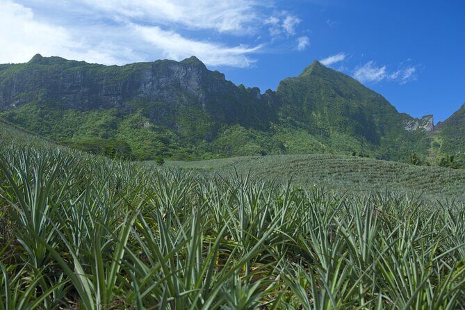 Moorea Highlights Private Tour: Natural and Cultural Attraction - Getting to Know the Tour