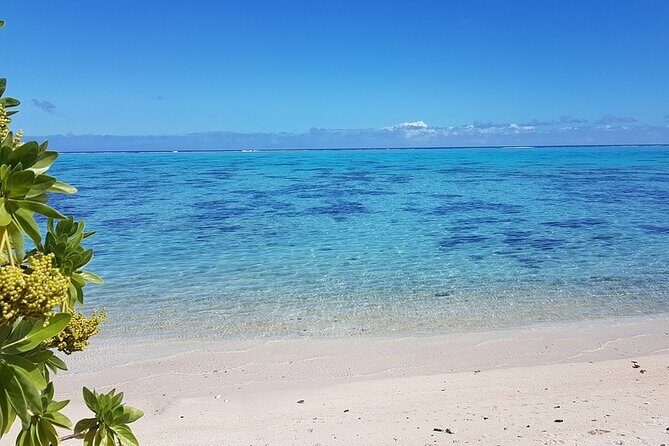 Moorea Highlights Private Tour: Natural and Cultural Attraction - Logistics and Booking