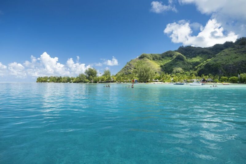 Moorea Highligts: Blue Lagoon Shore Attractions and Lookouts - Final Thoughts: Who Should Consider This Tour?