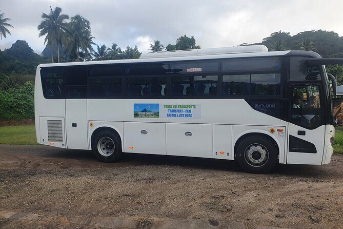 Moorea Island Tour - What to Expect from the Moorea Island Tour
