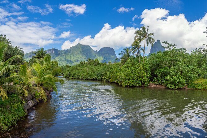 Moorea Nature & Culture Hike  Private Shore Tour 4 Hours - Authenticity and Cultural Insight
