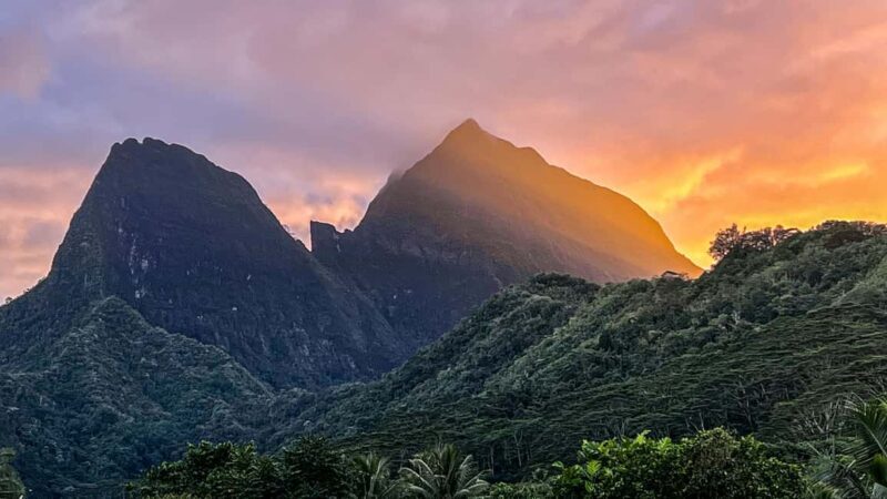 Moorea photographic excursion in private and adapted session - Introduction: What Makes the Moorea Photography Excursion Special