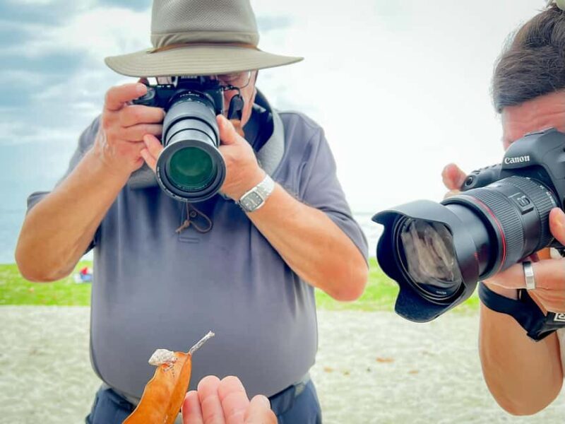 Moorea photographic excursion in private and adapted session - Exploring the Itinerary: What to Expect on Your Photographic Journey