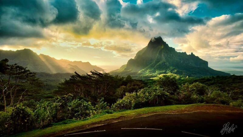 Moorea photographic excursion in private and adapted session - Final Thoughts: Is This Tour Worth It?