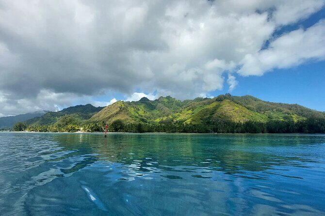 Moorea Private Full Day Tour - Final Thoughts