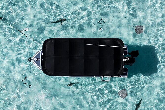 Moorea: Private Snorkeling Tour with Certify Guide - How the Experience Unfolds
