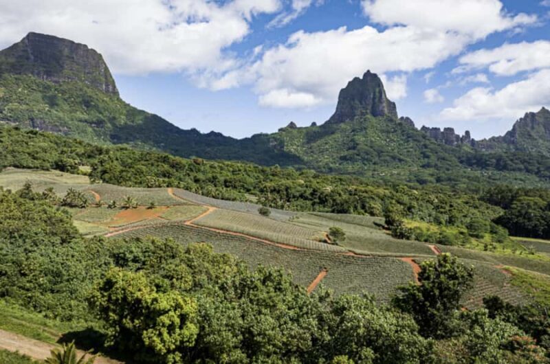 Moorea: Scenic Bus Tour with Guide for Cruise ship passenger - What to Expect from the Tour