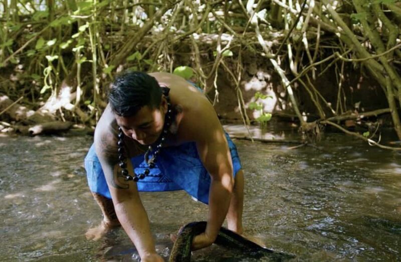 Moorea: Scenic Bus Tour with Guide for Cruise ship passenger - What Reviewers Say