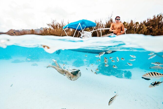 Moorea Sunset Boat Tour - Who Will Love This Tour?