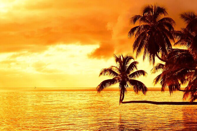 Moorea Sunset Boat Trip - Who Should Consider This Tour?