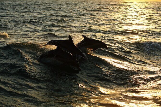 Moorea Sunset Boat Trip - FAQ