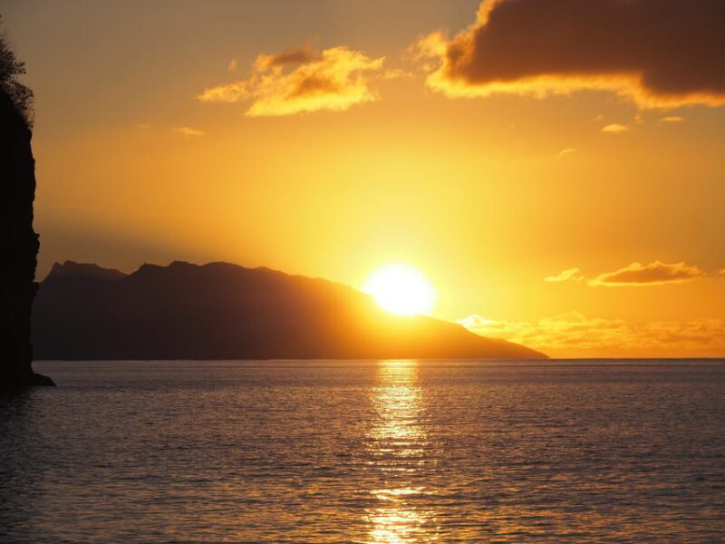 Moorea: Whale watching adventure - Moorea Whale Watching Adventure — An In-Depth Review