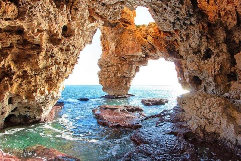Moraig: Kayak Excursion to Moraig & Cave peces-testos - Key Points