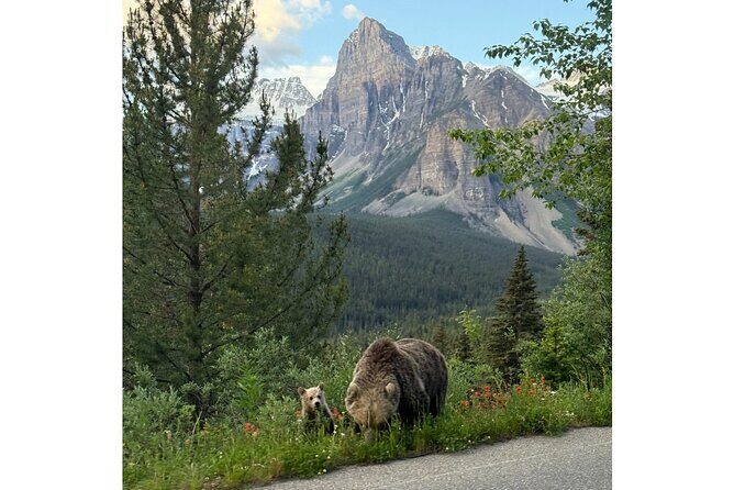 Moraine Lake, Lake Louise Afternoon Tour Half day From Banff - Practical Details and What They Mean for You